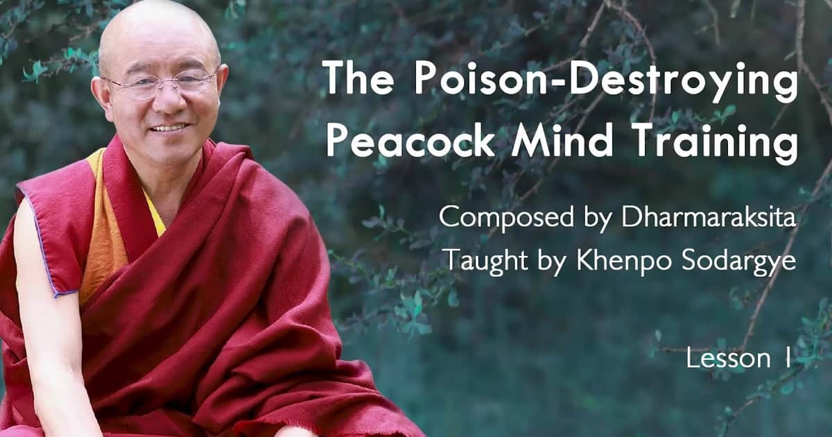 The Poison-Destroying Peacock Mind Training · FireLotus